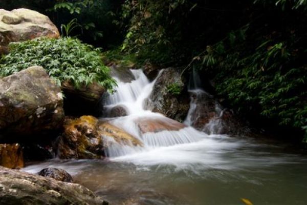 What do you know about Vietnam? - Vietnam Tourism Information